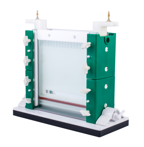Sistema rápido de electroforesis vertical SSR – Prolab de Michoacán 2024